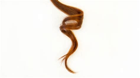 2500 Helai Rambut Foto Foto Foto Stok Potret And Gambar Bebas Royalti