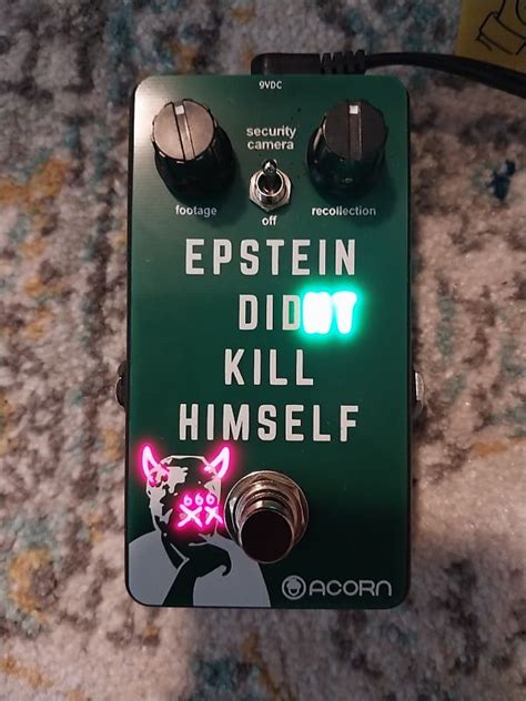 Acorn Amplifiers Epstein Didnt Kill Himself Fuzz 2024 Reverb