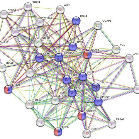 String Map For Egfr In Cancer Legend In Red Abnormality Of Dental