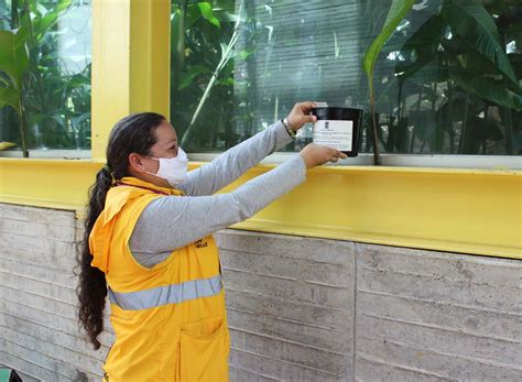 Recomendaciones Para Prevenir El Dengue