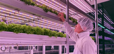 Sparking Sustainable Food Developments At IPHatch 2021