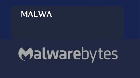 Malwarebytes Wont Update On Windows 10 Here Are 4 Fixes