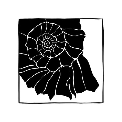 Premium Vector Black And White Black Ink Sea Landscape Sea Life Shell