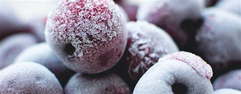 Fresh Frozen Canned Dehydrated Healthy Eating Year Round