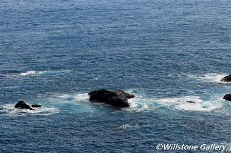 Willstonegallery