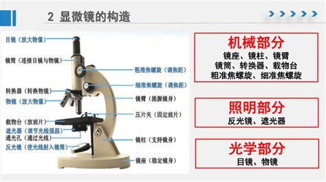 2 1 1 练习使用显微镜教学课件 大单元教学2023 2024学年七年级生物上册同步备课系列人教版 共18张PPT 视频素材