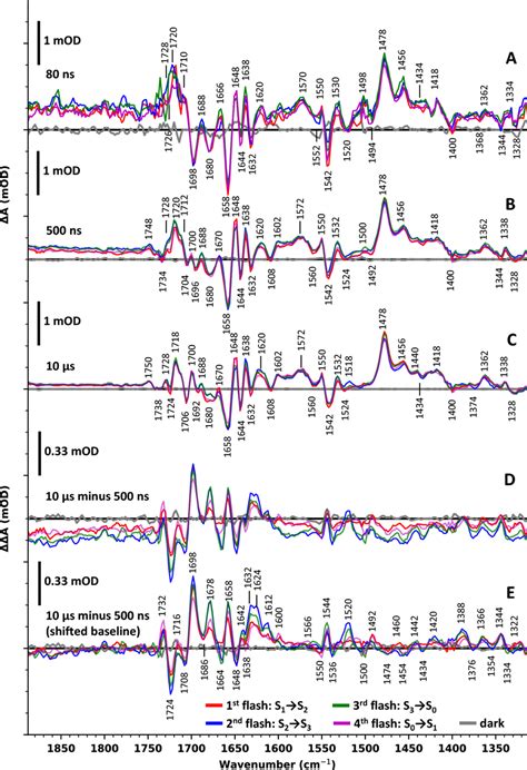 Flash Induced Time Resolved Ir Difference Spectra Of Spinach Psii Download Scientific Diagram