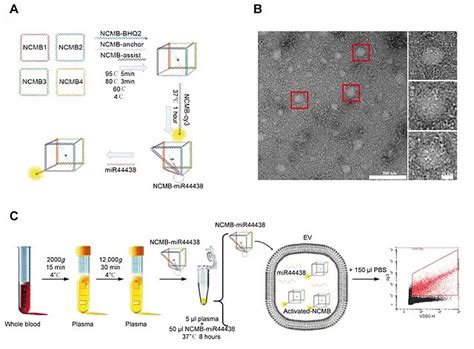 Ivd前沿丨帕金森病pd早期诊断新型生物标志物 帕金森病pd以及其他α 突触核蛋白病如多系统萎缩msa的特征是α 突触核蛋白