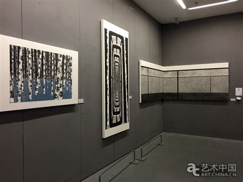 清华美院举办2016届本科毕业作品展vip专场：机构先睹 艺术中国
