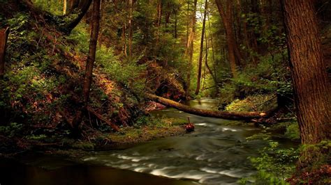 🔥 90 Free Mountain River Wallpapers Wallpapersafari