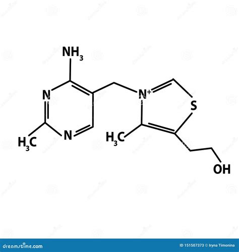 Vitamin B1 Thiamine Molecular Chemical Formula Infographics Vector Illustration On Isolated
