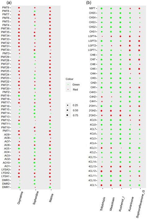 Pearson Correlation Bubble Chart Of The Transcript Expression And