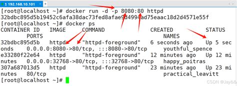 Docker基本管理 Dockerfile镜像制作（docker技术集群与应用） Csdn博客
