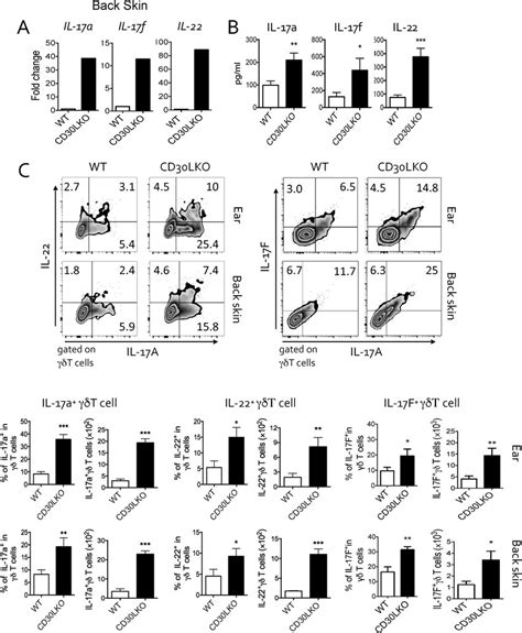 Cd30l Deficiency Enhances Th17 Related Cytokine Production From Vγ4