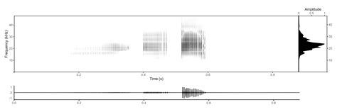 Comparing Rthoptera With Other Workflows Rthoptera