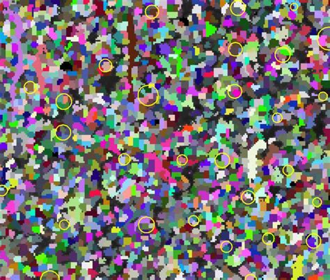 segmentation des couronnes d arbres par l algorithme baatz de terralib