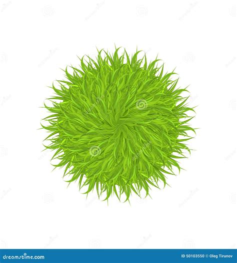 Grass Circle White Background Stock Illustrations 12075 Grass Circle
