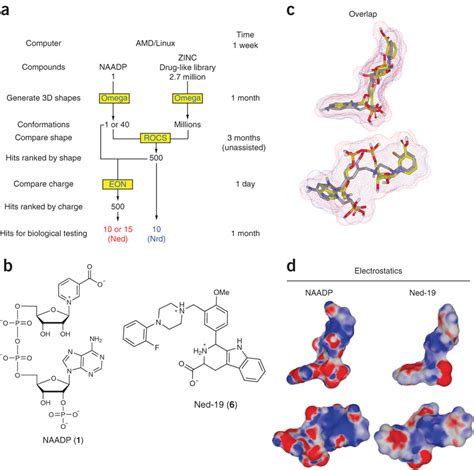 strategy and results of a ligand based virtual screen for drug like