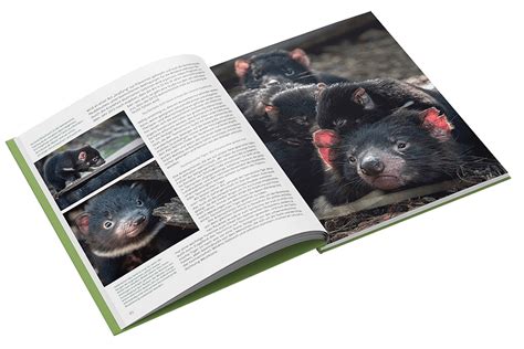 Daniel Spohn Die Natur Im Fokus Heimatlichter