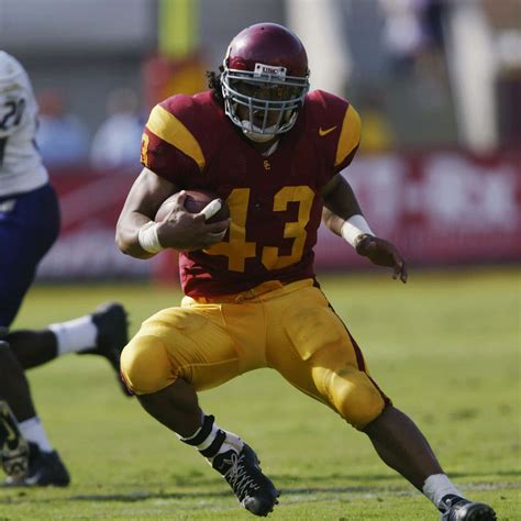 Download Football Star Troy Polamalu Wallpaper