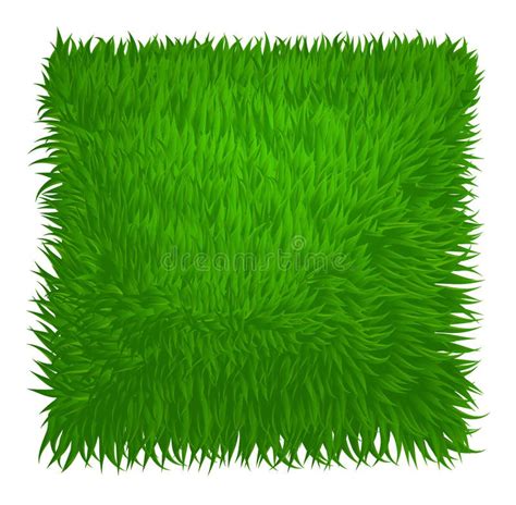 Green Grass Texture Rectangle Isolated On White Stock Vector