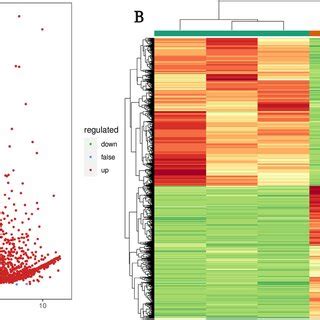 Volcano Map A And Hierarchical Cluster Analysis B Of DEGs