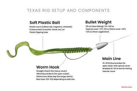 Fishing Hook And Line Setup