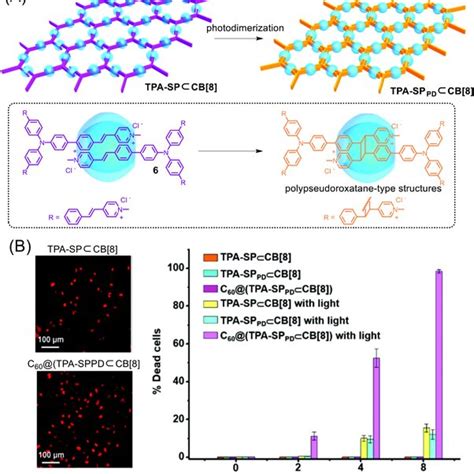 The Scheme Illustration Of The Preparation Of Doxorubicin Dox ‐loaded Download Scientific