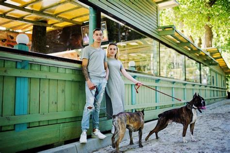 Couple Amoureux De Deux Chiens Pit Bull Terrier En Promenade Photo