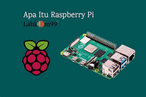 Apa Itu Raspberry Pi Fungsi Dan Keuntungan Jika Menggunakan