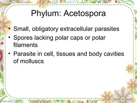 Classification Of Protozoa Ppt