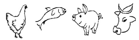 Getting A Line Drawing From Tracing A Bitmap CorelDRAW Graphics Suite X CorelDRAW Graphics