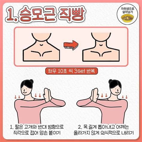 보기싫게 솟은 각종 근육 박살 운동법 지식사이트 운동법 운동 아이디어 안쪽 허벅지 운동