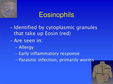 PPT Food Allergy And The Eosinophilic Gastrointestinal Disorders