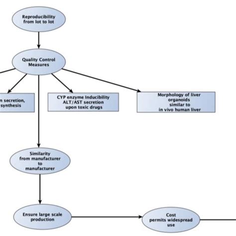 Process Of Making Ipsc Derived Liver Organoids Commercially Available