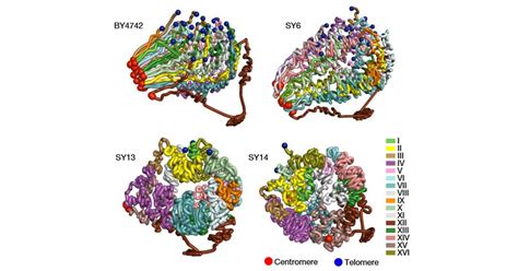 Genscript On Linkedin Sciencenews