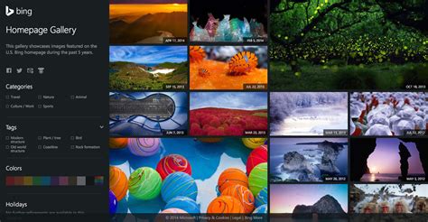 Bingの美しい背景画像を壁紙としてダウンロード「bing Homepage Gallery」 Nanomal