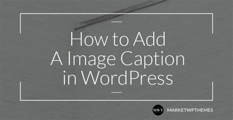 Make A Custom Scrollbar In Wordpress Market Wp Themes