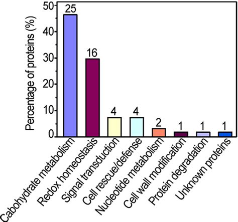 Figure 5 From Comparative Proteomics Analysis Of The Root Apoplasts Of