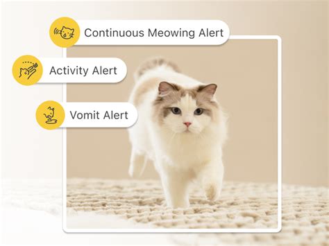 Furbo 360 Cat Camera Cat Nanny W AI Smart Alerts Home Emergency