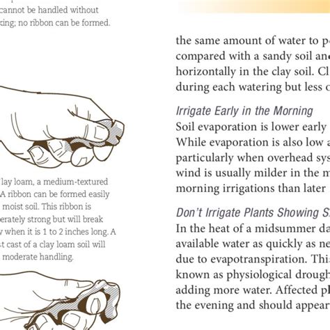 Determining Soil Texture By The Feel Method Download Scientific Diagram