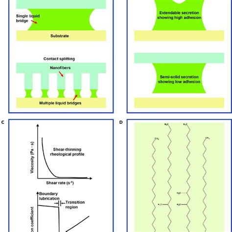 Schematic Illustration Of Artificial Adhesive Surfaces Using Liquids Download Scientific