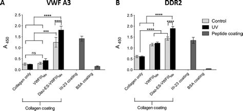 Vwf A3 And Ddr2 Binding To Collagen Films Derivatised With