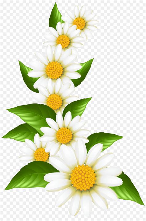 Assiduous Clipart Flower