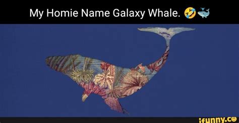 My Homie Name Galaxy Whale Ifunny