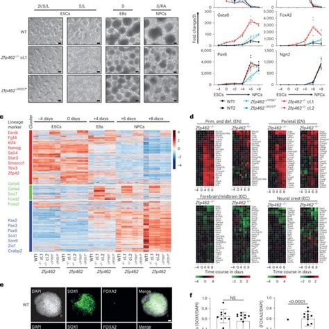 Crispr Screen Identifies Heterochromatin Regulators Required For