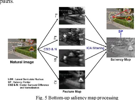 Figure 5 From A Region Of Interest Based Image Segmentation Method Using A Biologically