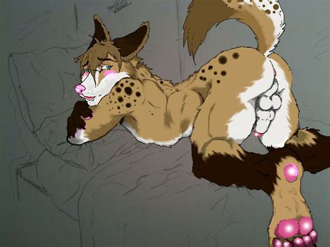 Rule 34 All Fours Anus Ass Balls Bed Bedroom Blush Canine Dingo Dusky