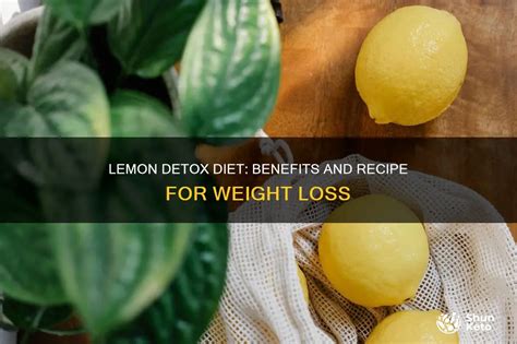Lemon Detox Diet Benefits And Recipe For Weight Loss Shunketo