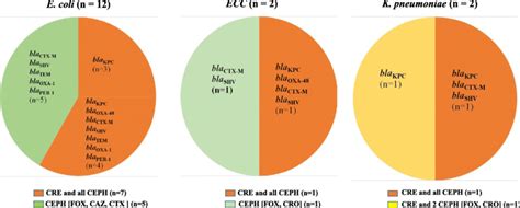 Number Of Carbapenem And Cephalosporin Resistant Enterobacteriaceae Download Scientific